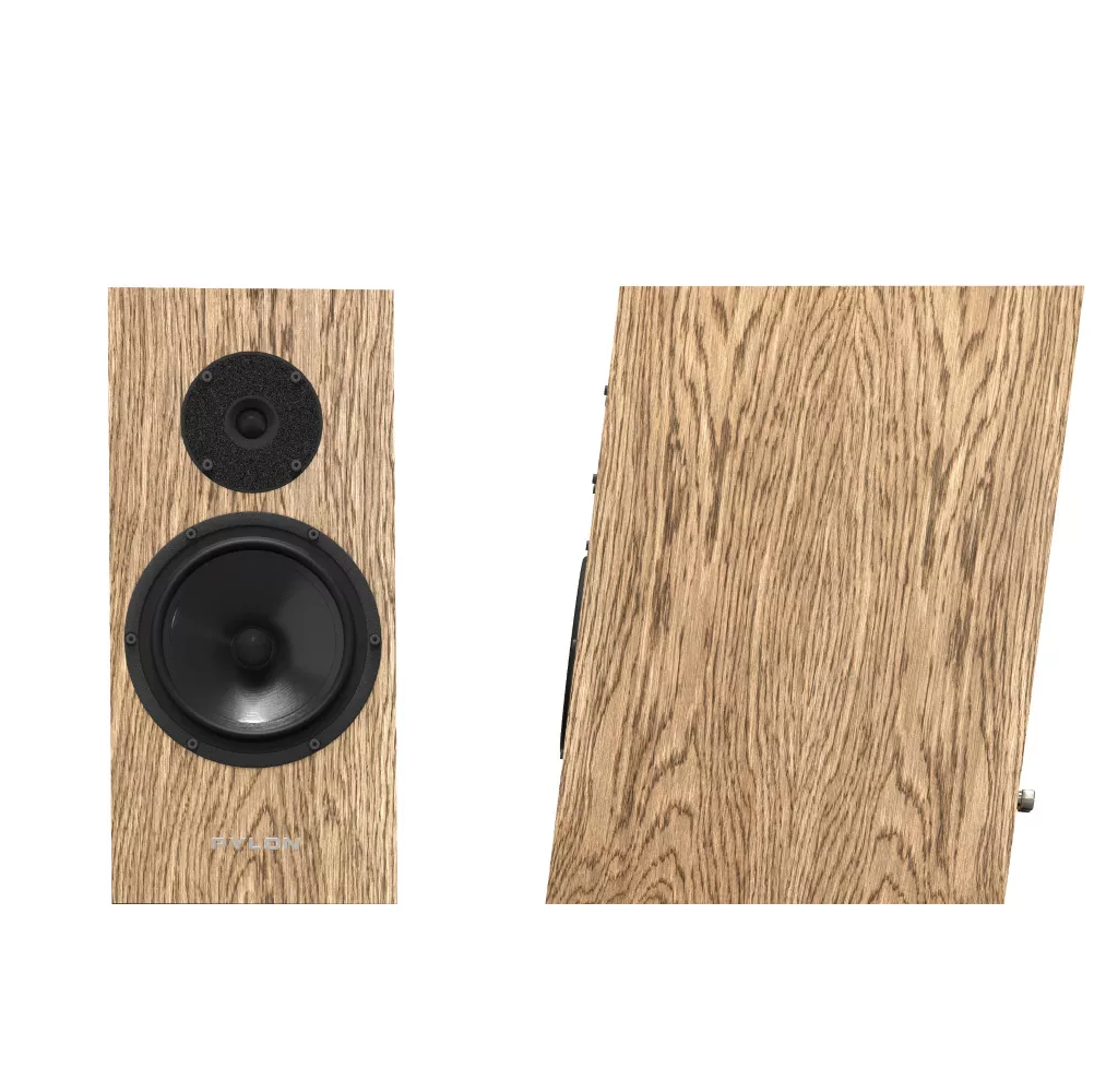 Pylon Diamond Monitor 18 MK2Jack-fi